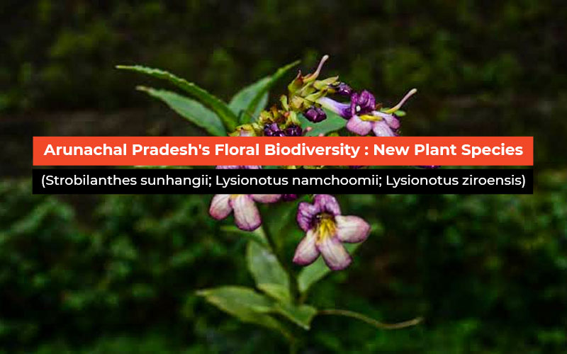 Arunachal Pradesh's Floral Biodiversity: New Plant Species ...