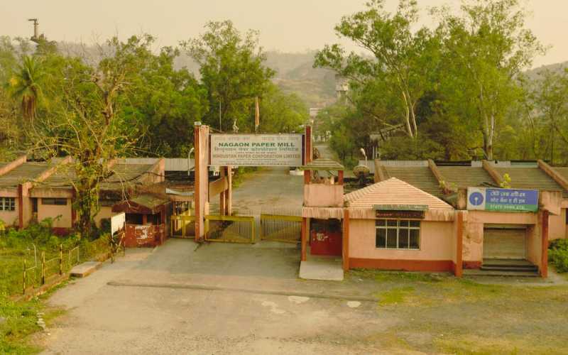 Nagaon Paper Mill Logo Site Title